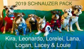 Local Nonprofits and Charities Near Me